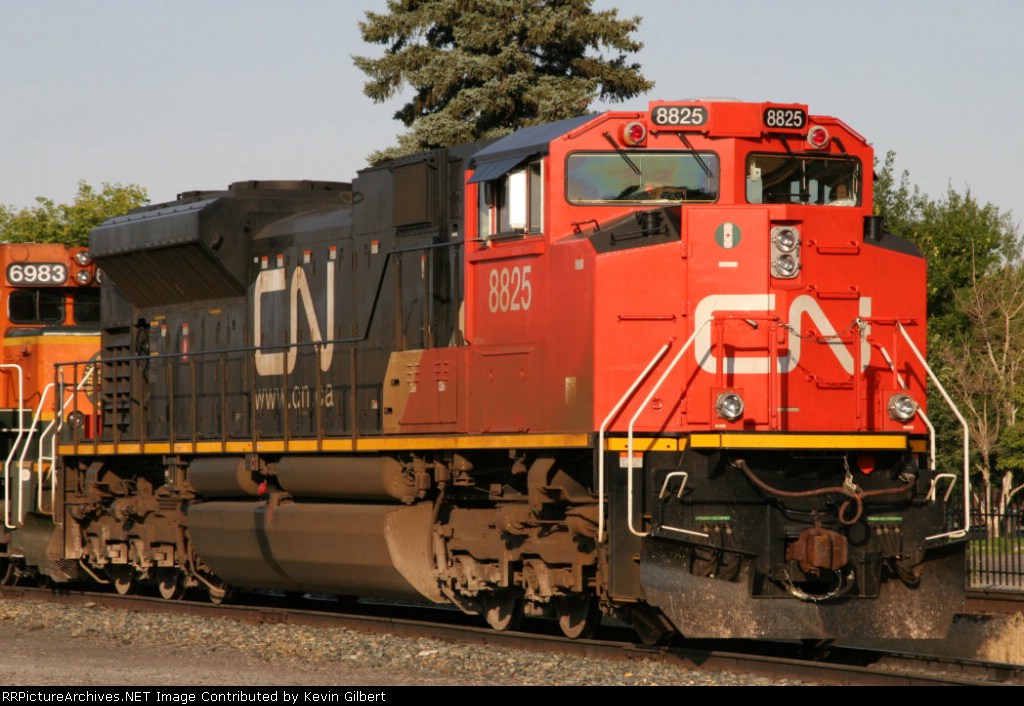 CN 8825